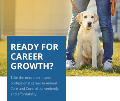 NACA ACO I & ACO II Training & Certification | National Animal Care ...